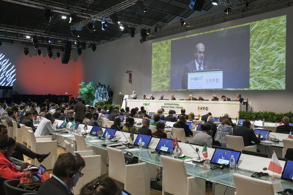 Forte appello della Fao: cambiamo il modo in cui produciamo il cibo ... Forte appello della Fao: cambiamo il modo in cui produciamo il cibo ...